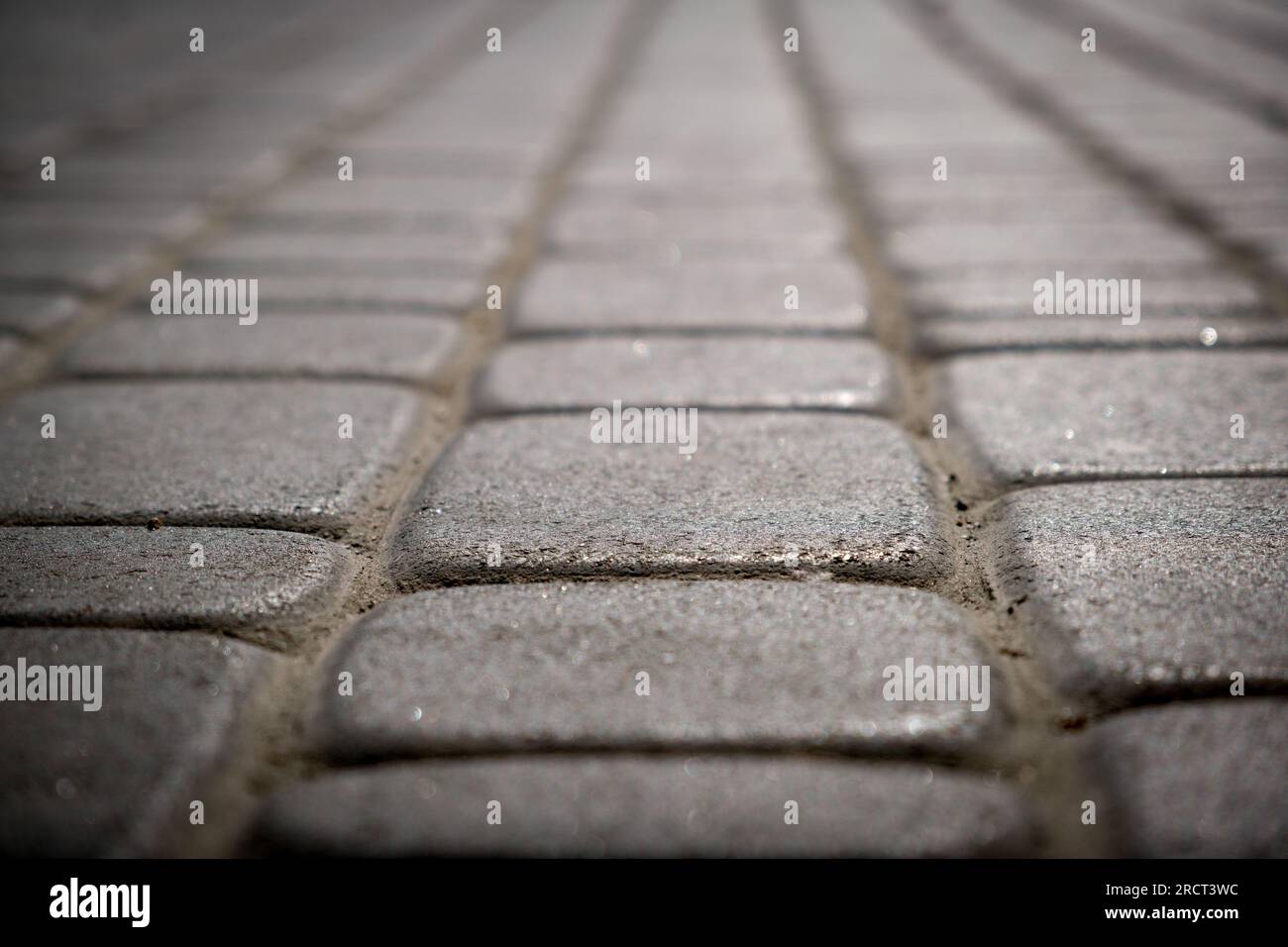 Gray stone clinker paving slabs - surface area: low angle shooting. A ...