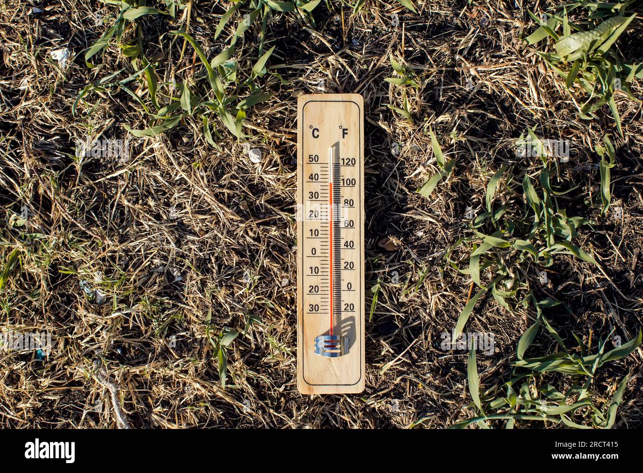 Hot weather. Thermometer lying on dry grass during heatwave. High ...