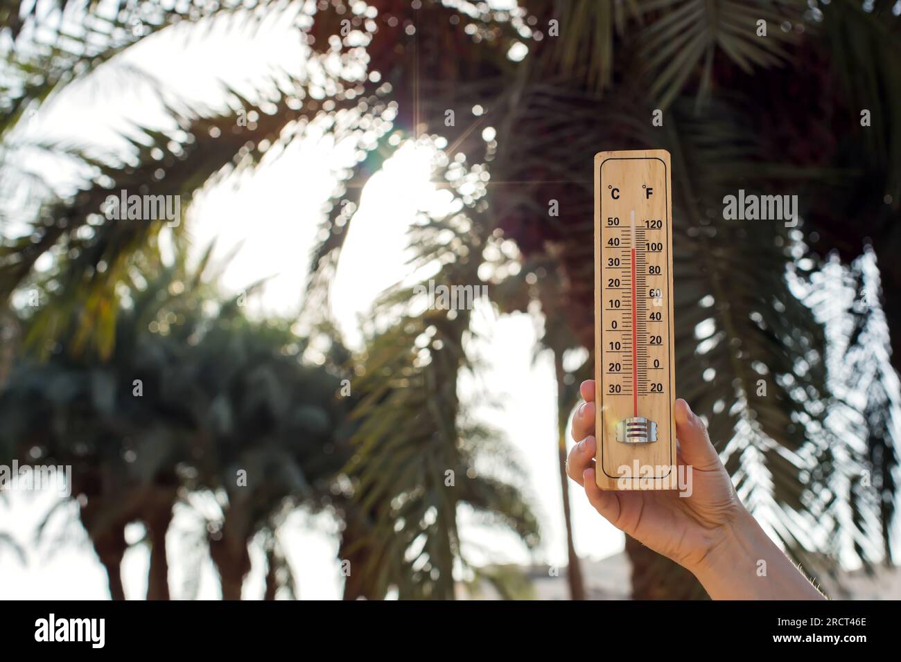 Hot weather. Thermometer in hand in front of street with trees and ...