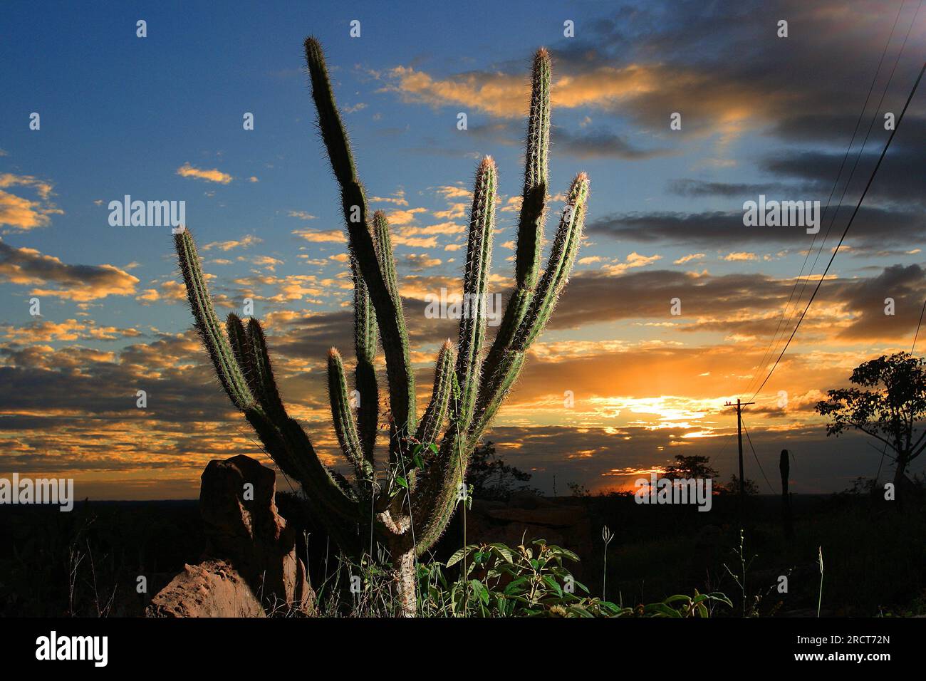 Muná, Yucatan Peninsula, Mexico Stock Photo - Alamy
