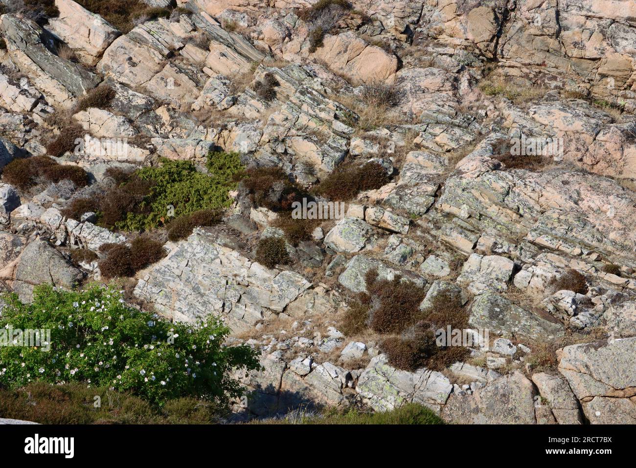 Rock formations on island in Fjällbacka archipelago on the western coastline of Sweden Stock ...