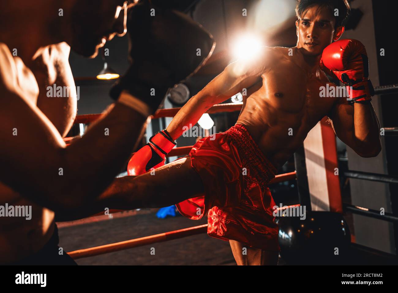 Muay Thai Fighter Body
