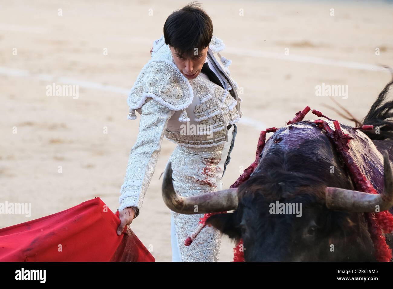 the bullfighter Fco. José Espada during the bullfight of Corrida de ...