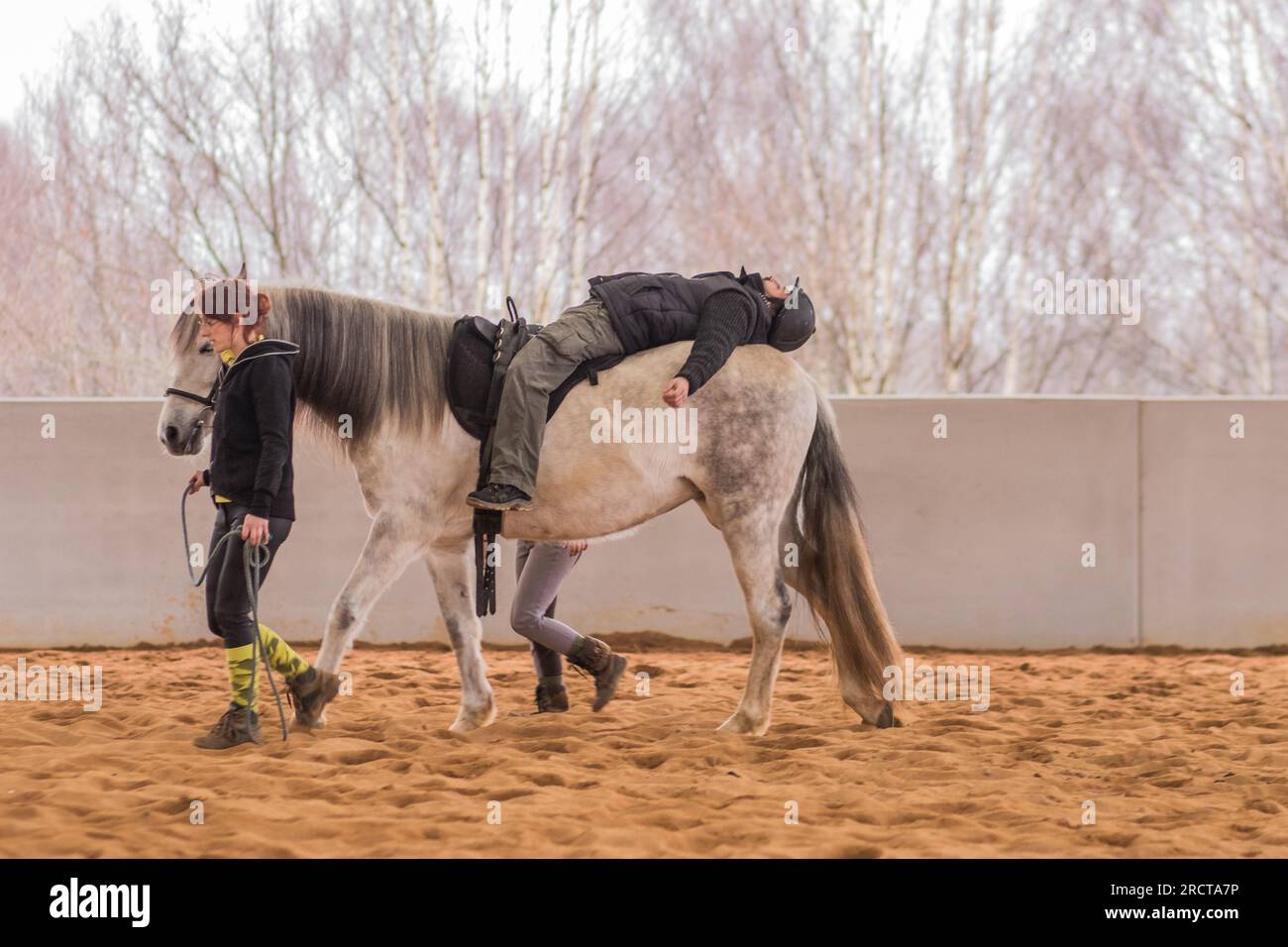 Equine-assisted therapy with medical disability patient on equestrian ...
