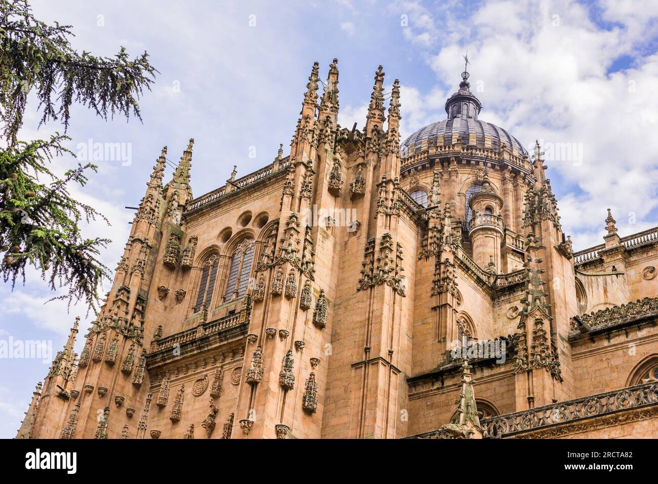 Salamanca cathedral architecture detail with no people. Castile and ...