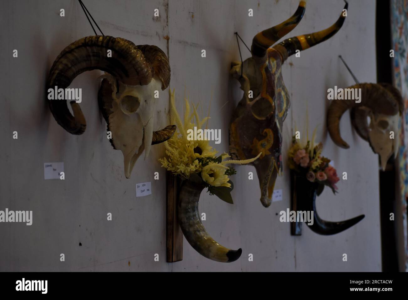 carved and decorated ram and cattle skulls, part of the work of bone ...