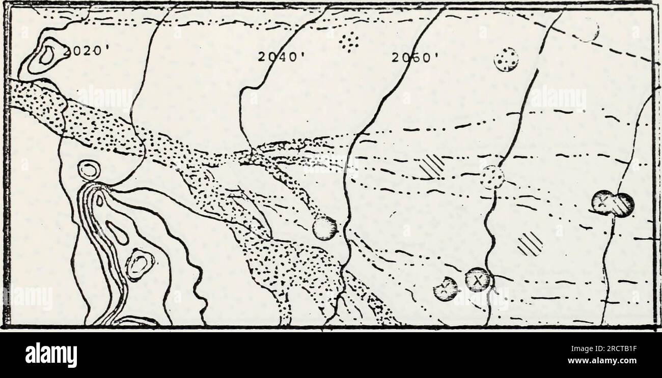 "Ecology of a population of desert tortoises, Gopherus agassizi, in ...