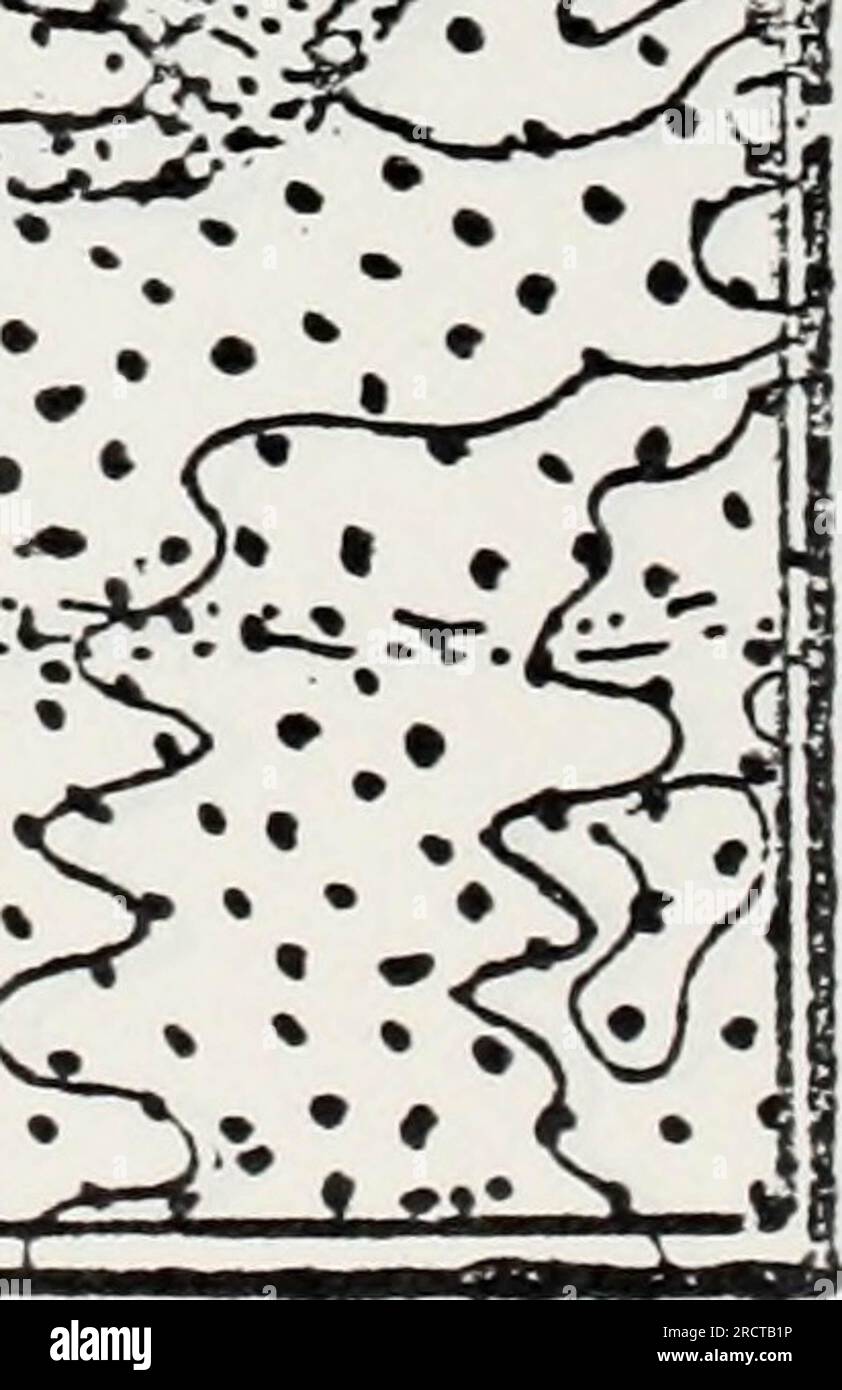 "Ecology of a population of desert tortoises, Gopherus agassizi, in ...