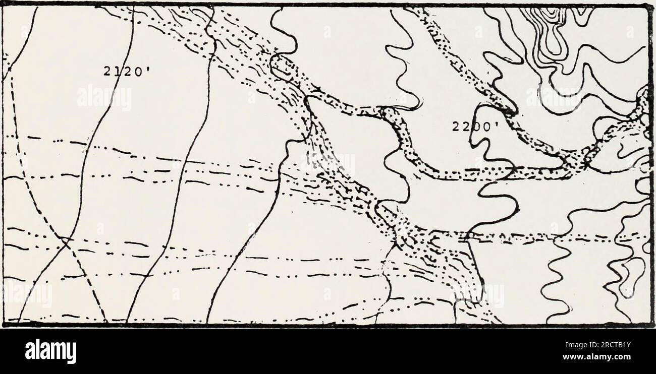 "Ecology of a population of desert tortoises, Gopherus agassizi, in ...