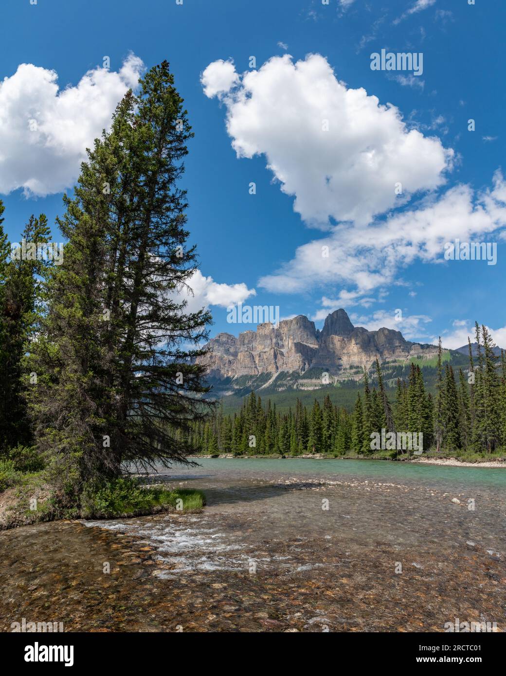 KIRK YEDİ YAŞINDA VEFAT ETTİ | Taşova Gazetesi