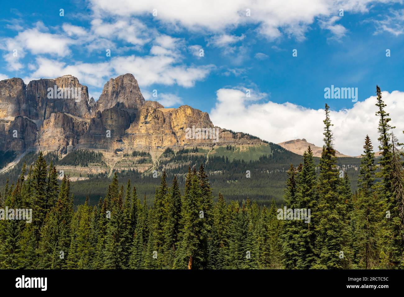 Panoramic scenery in Banff National Park at Castle Mountain with blue ...
