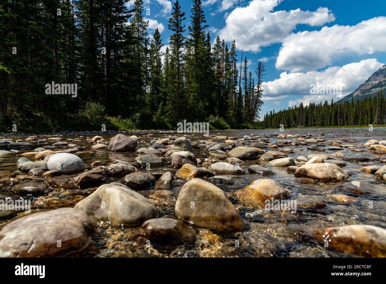 Panoramic scenery in Banff National Park at Castle Mountain with blue ...