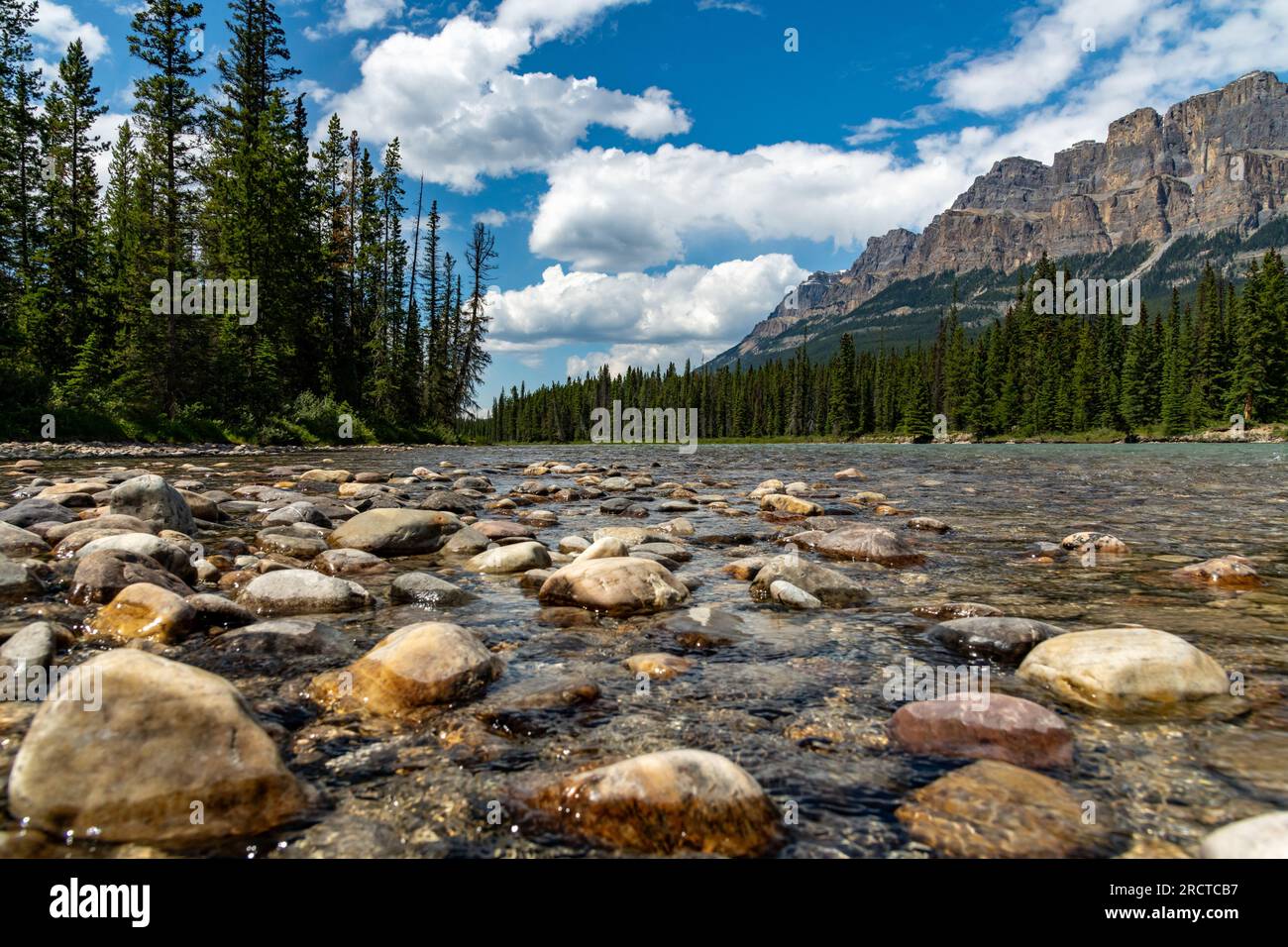 Panoramic scenery in Banff National Park at Castle Mountain with blue ...