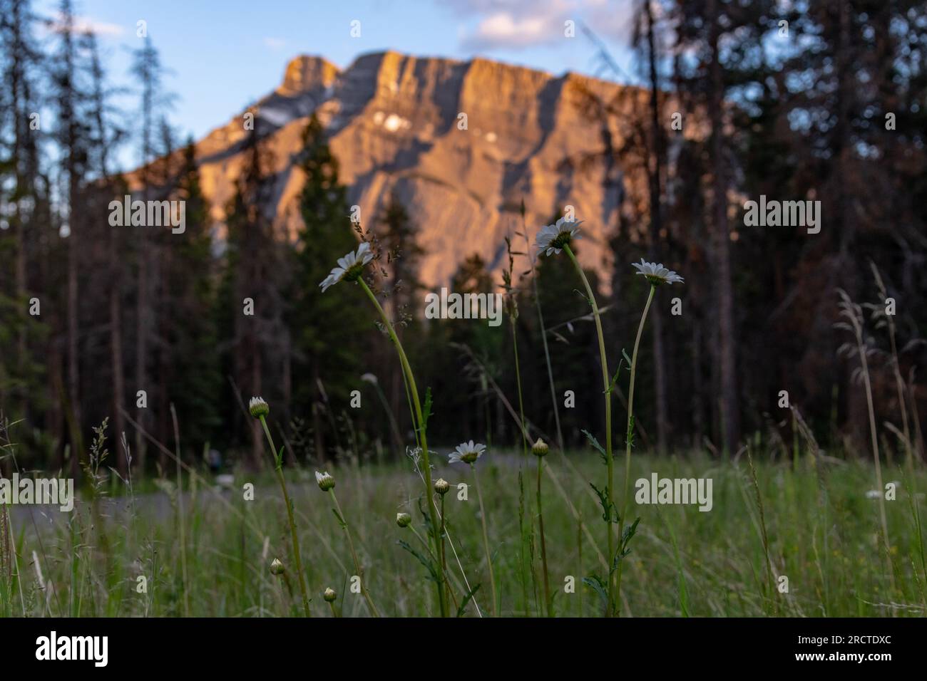 Sunset sky over Mount Rundle in Banff National Park during summer time ...
