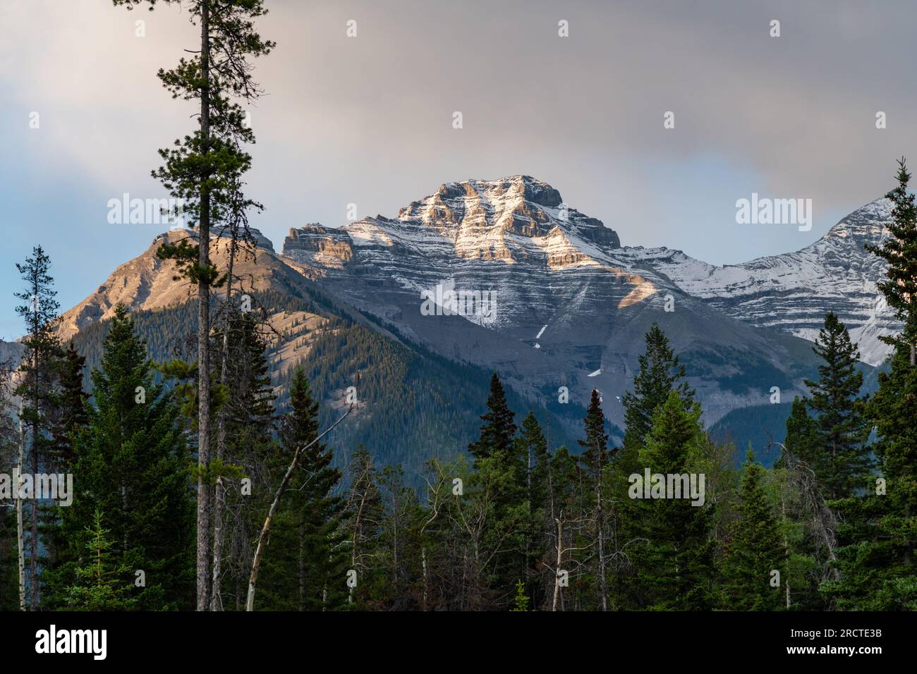 Summer time views in Banff National Park during July with stunning blue ...