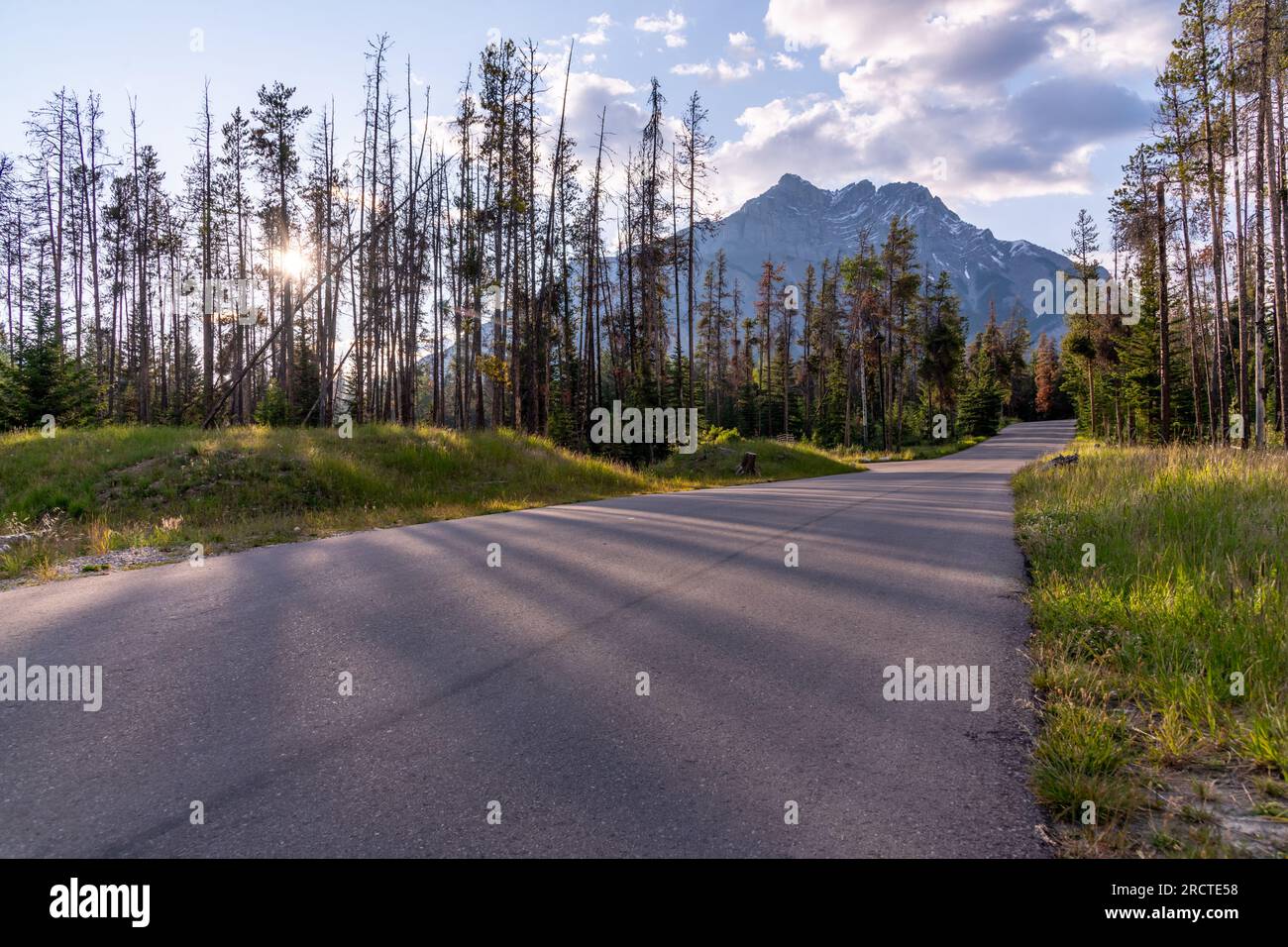 Summer time views in Banff National Park during July with stunning blue ...