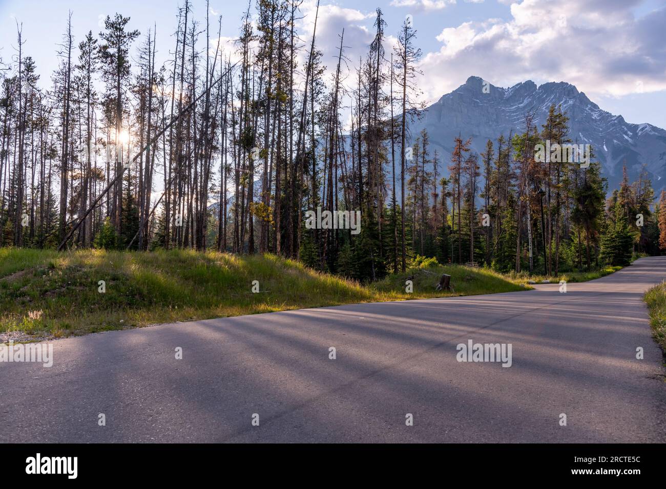 Summer time views in Banff National Park during July with stunning blue ...