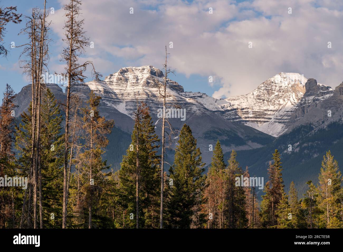 Summer time views in Banff National Park during July with stunning blue ...
