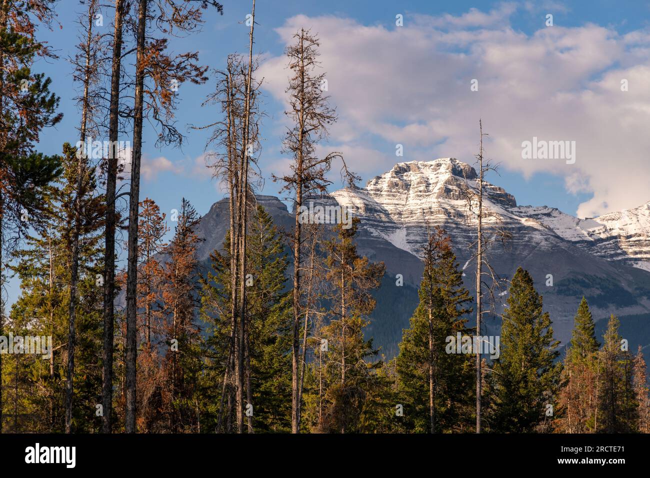 Summer time views in Banff National Park during July with stunning blue ...