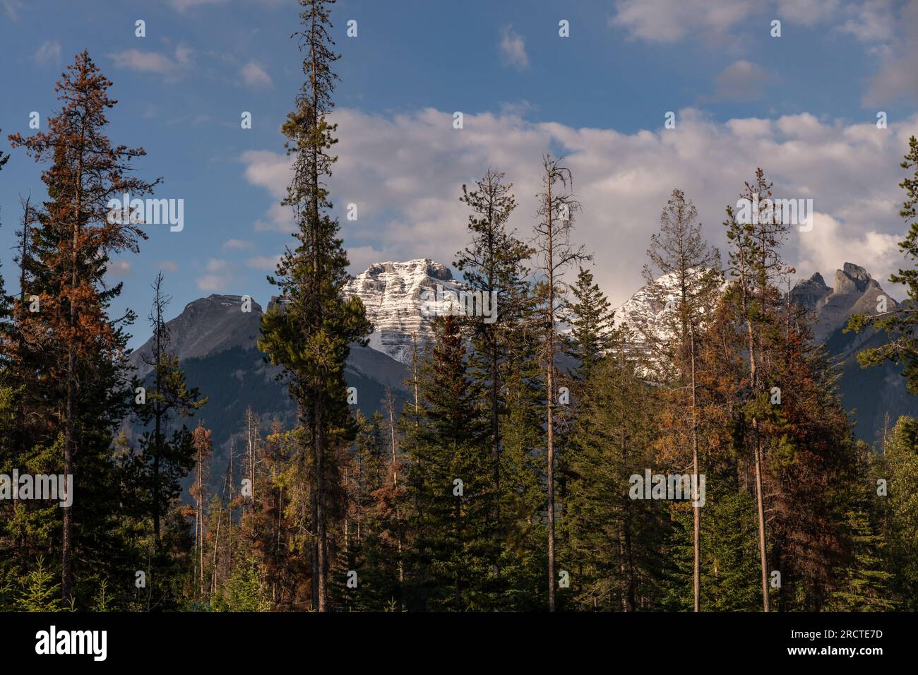Summer time views in Banff National Park during July with stunning blue ...