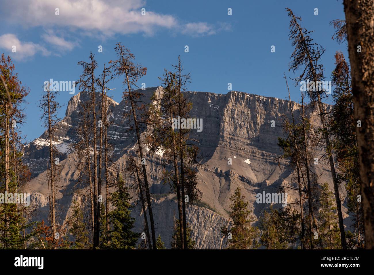 Summer time views in Banff National Park during July with stunning blue ...