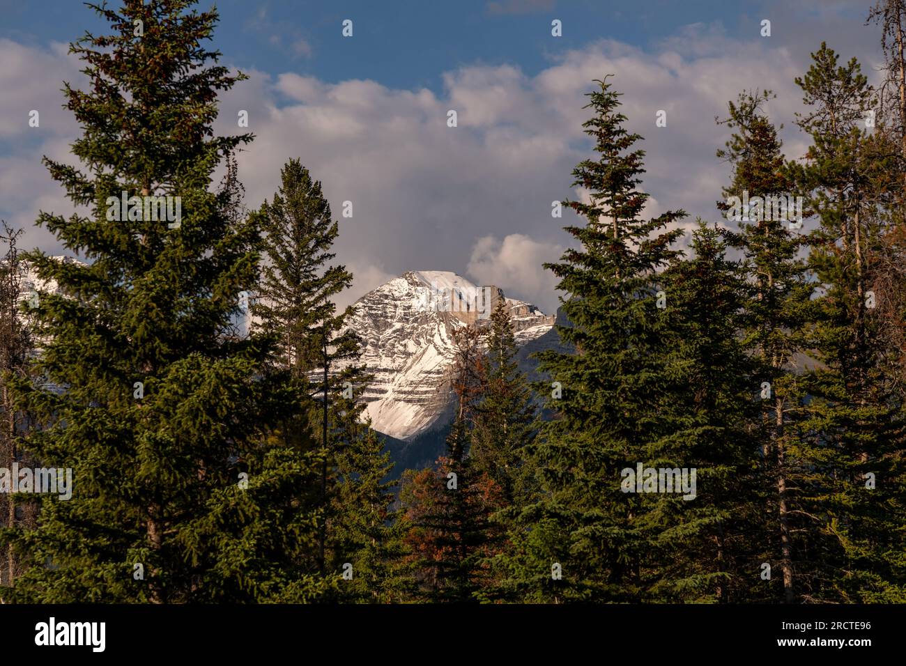 Summer time views in Banff National Park during July with stunning blue ...