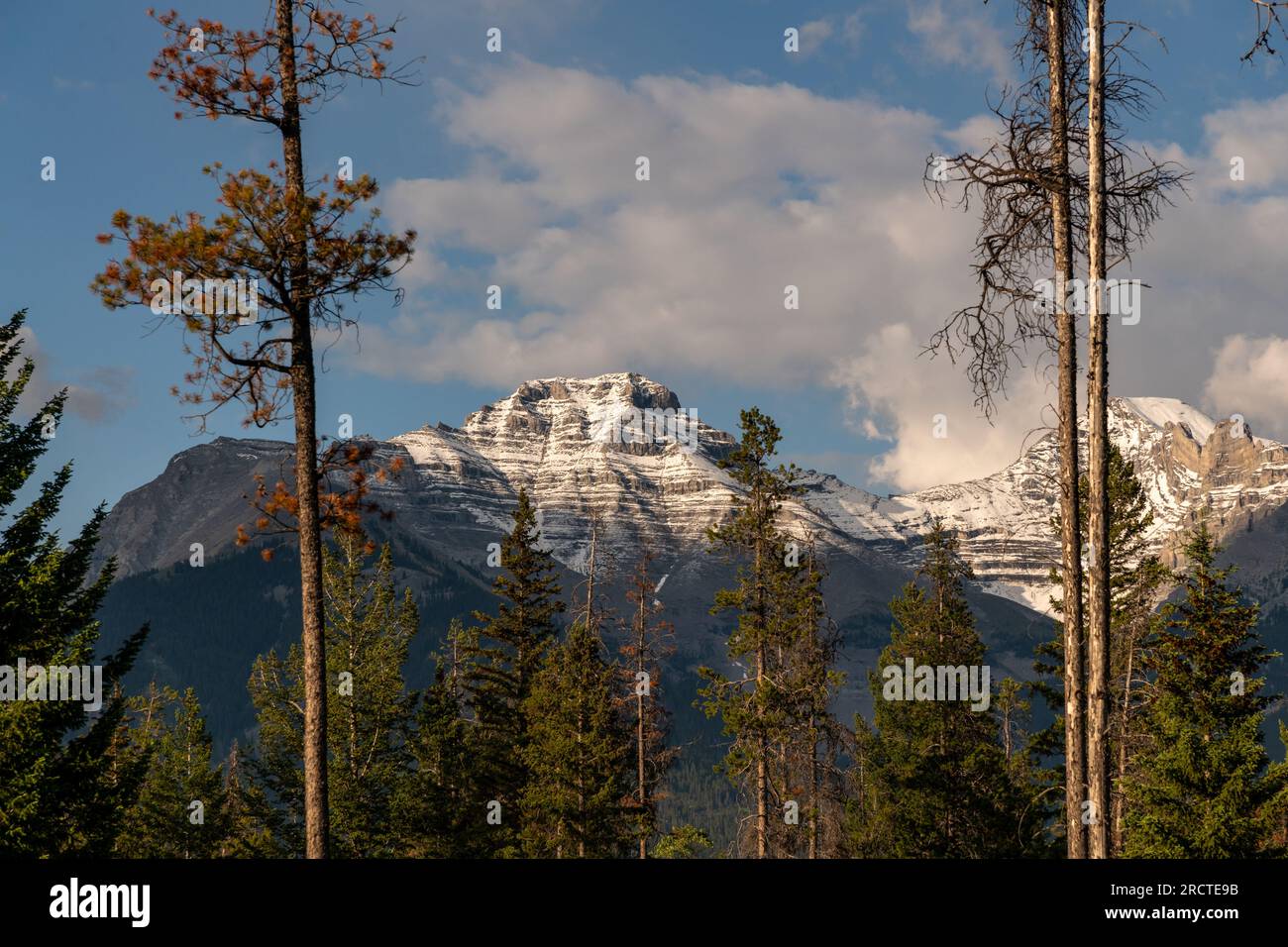 Summer time views in Banff National Park during July with stunning blue ...
