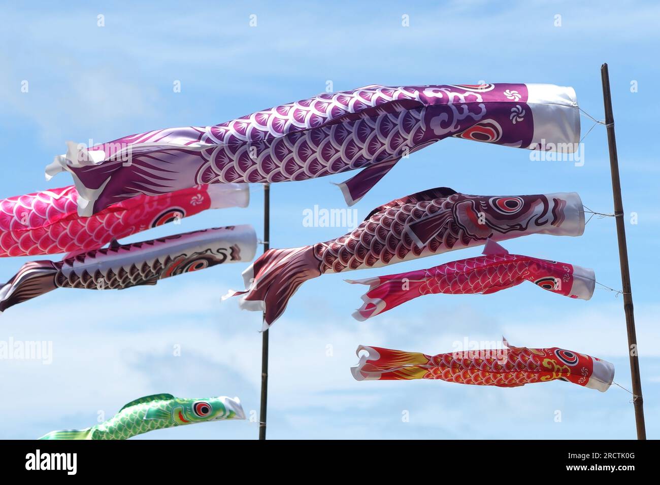 carp streamer, japanese koi carp flag with beautiful sky background ...