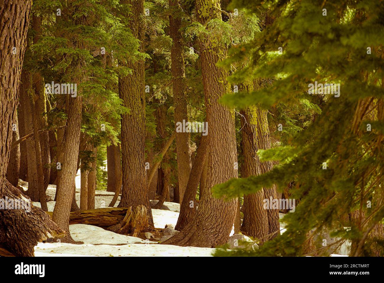 Red gound hi-res stock photography and images - Alamy