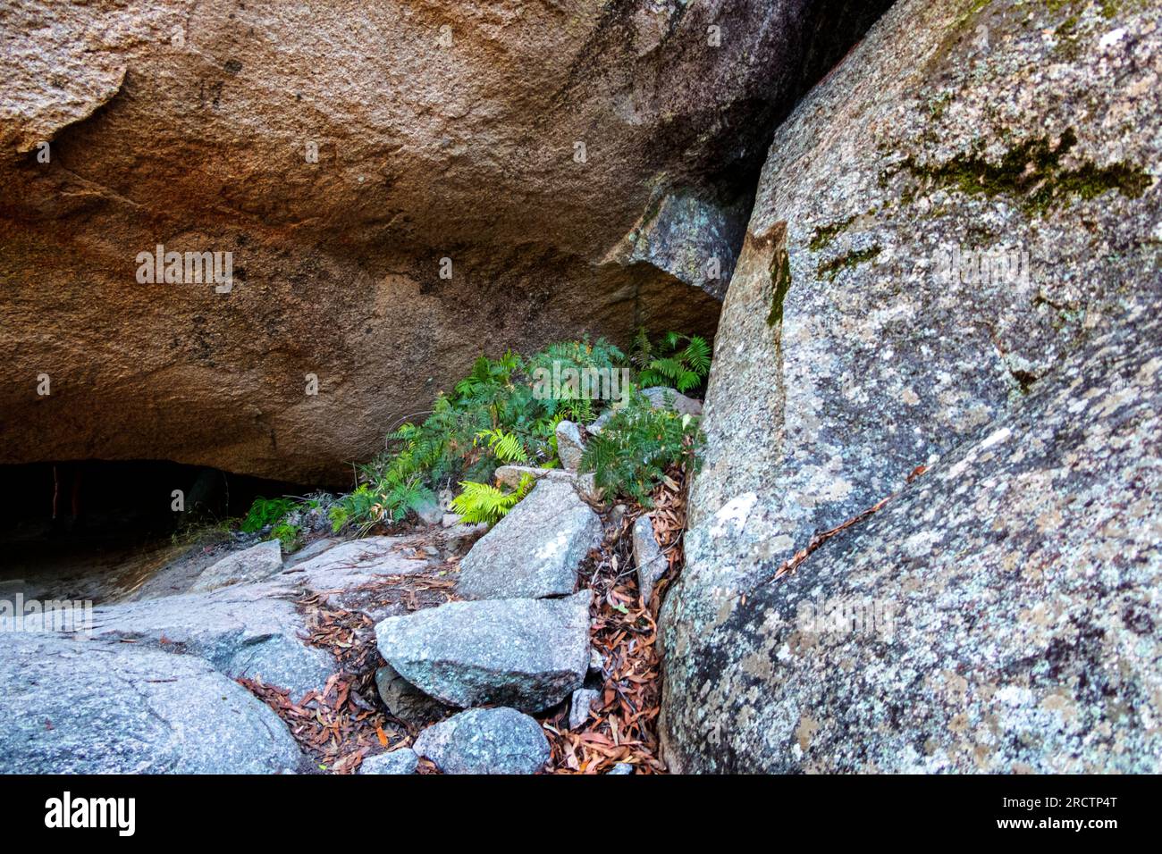 Thunderbolt's Hideout, Tenterfield Region, NSW Australia Stock Photo ...