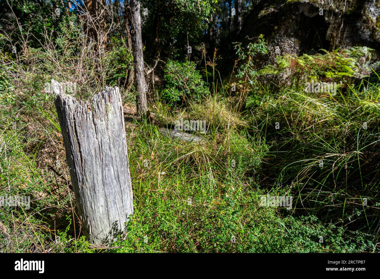 Historic World War II Tank Traps in Thunderbolt's Gully, Tenterfield ...