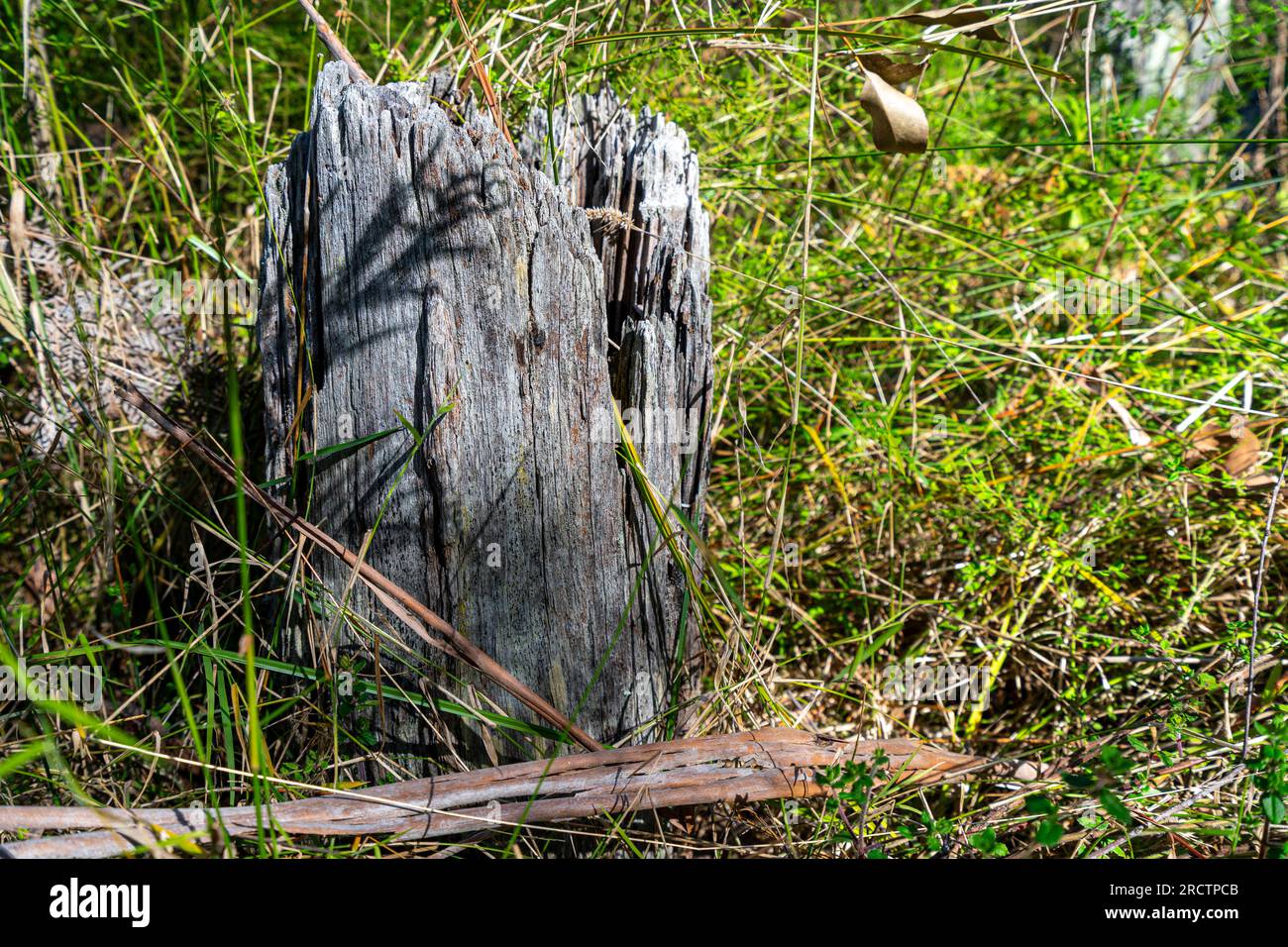 World war two tank traps hi-res stock photography and images - Alamy