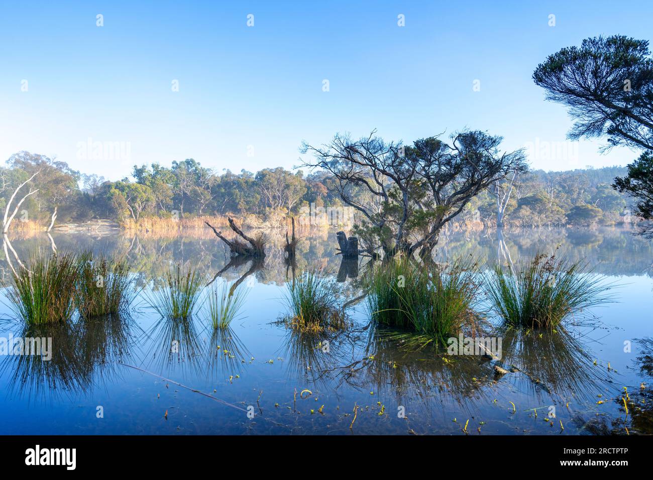 Severn river australia hi-res stock photography and images - Alamy