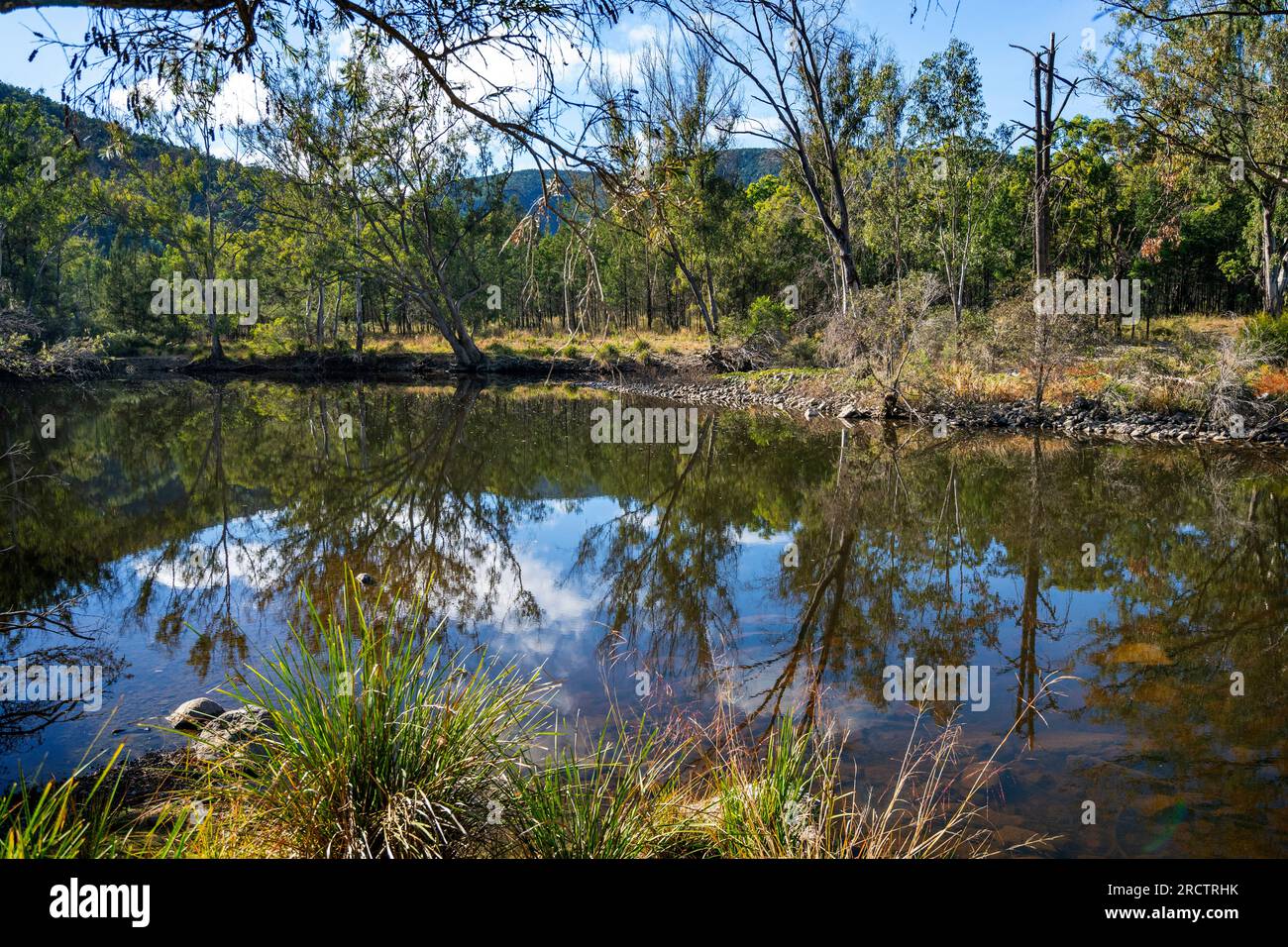 Permanent waterhole on Severn River, Broadwater section of Sundown ...