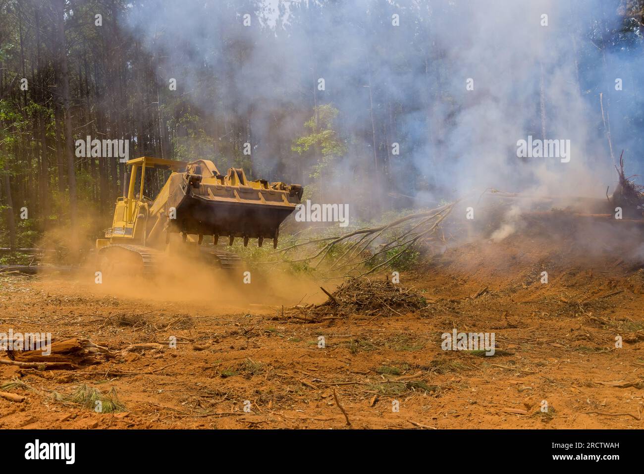 Burning uprooted trees on land before it is prepared for construction ...