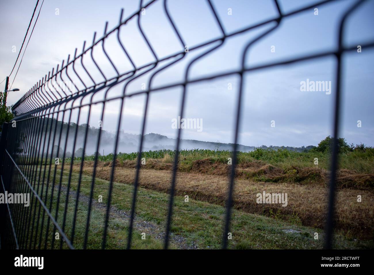 Fog background hi-res stock photography and images - Alamy