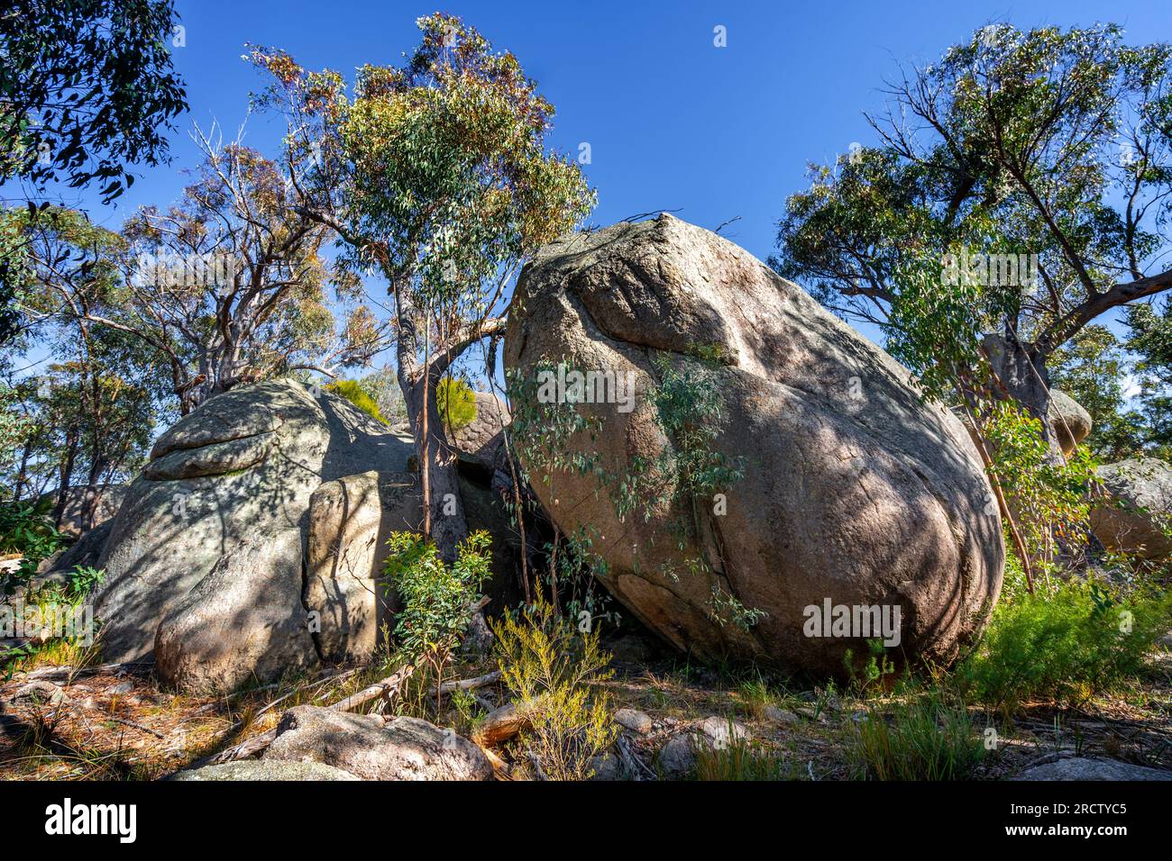 Granite rock formations and boulders, Pyramid walking track, Girraween ...