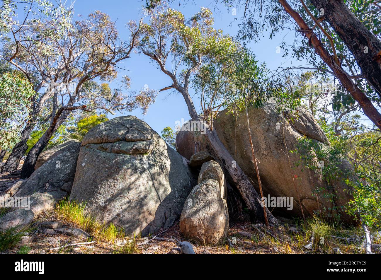 Granite rock formations and boulders, Pyramid walking track, Girraween ...