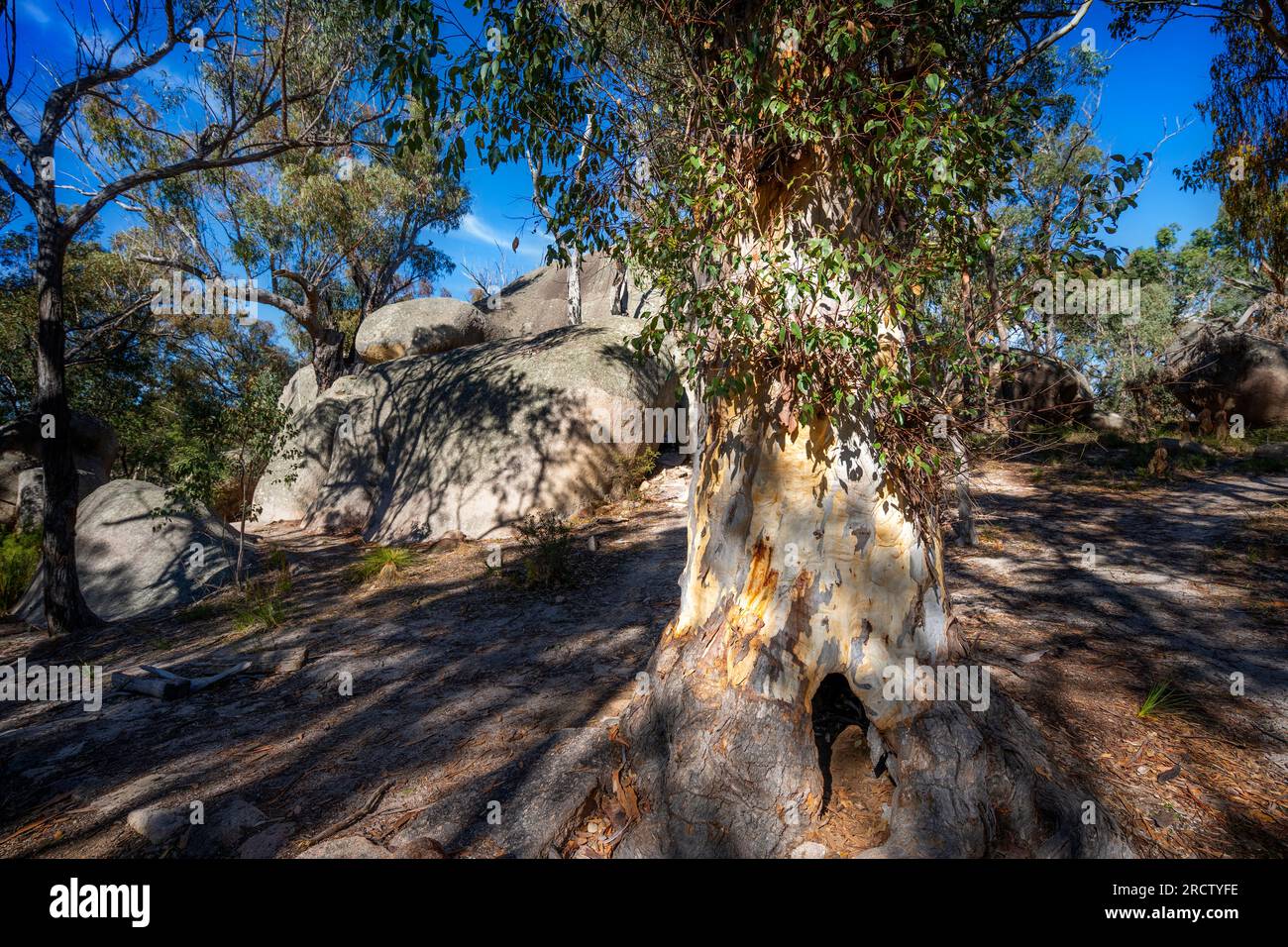 Granite rock formations and boulders, Pyramid walking track, Girraween ...