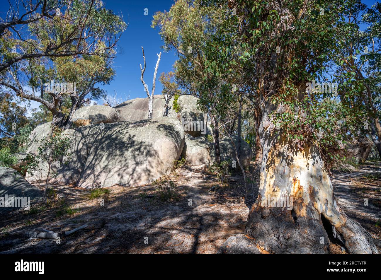 Granite rock formations and boulders, Pyramid walking track, Girraween ...