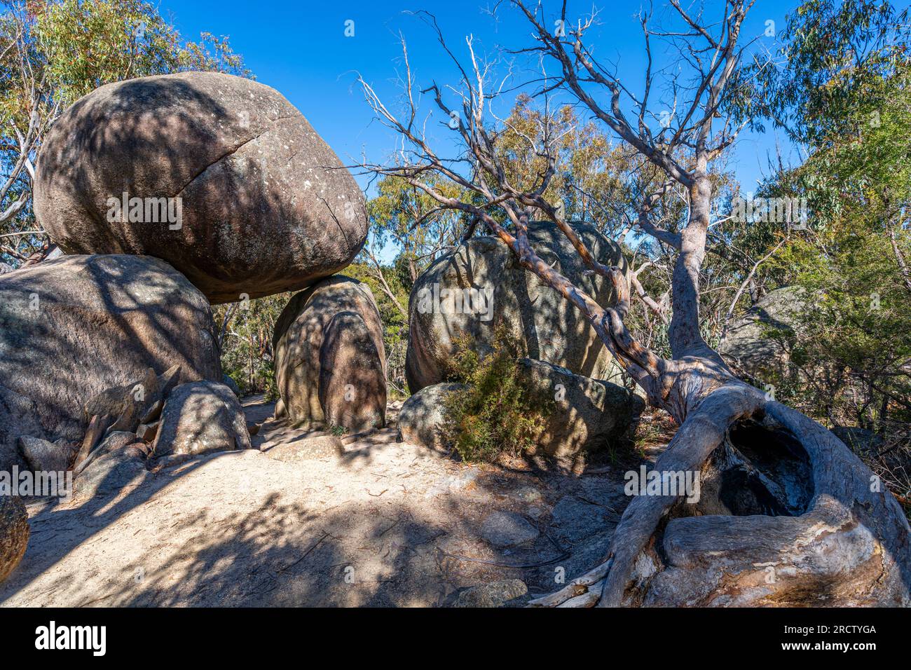 Pyramid girraween queensland australia hi-res stock photography and ...