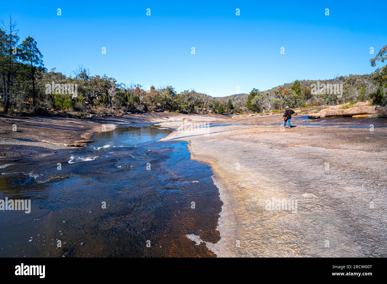 The junction of Bald Rock and Ramsay Creeks, The Junction, Girraween ...