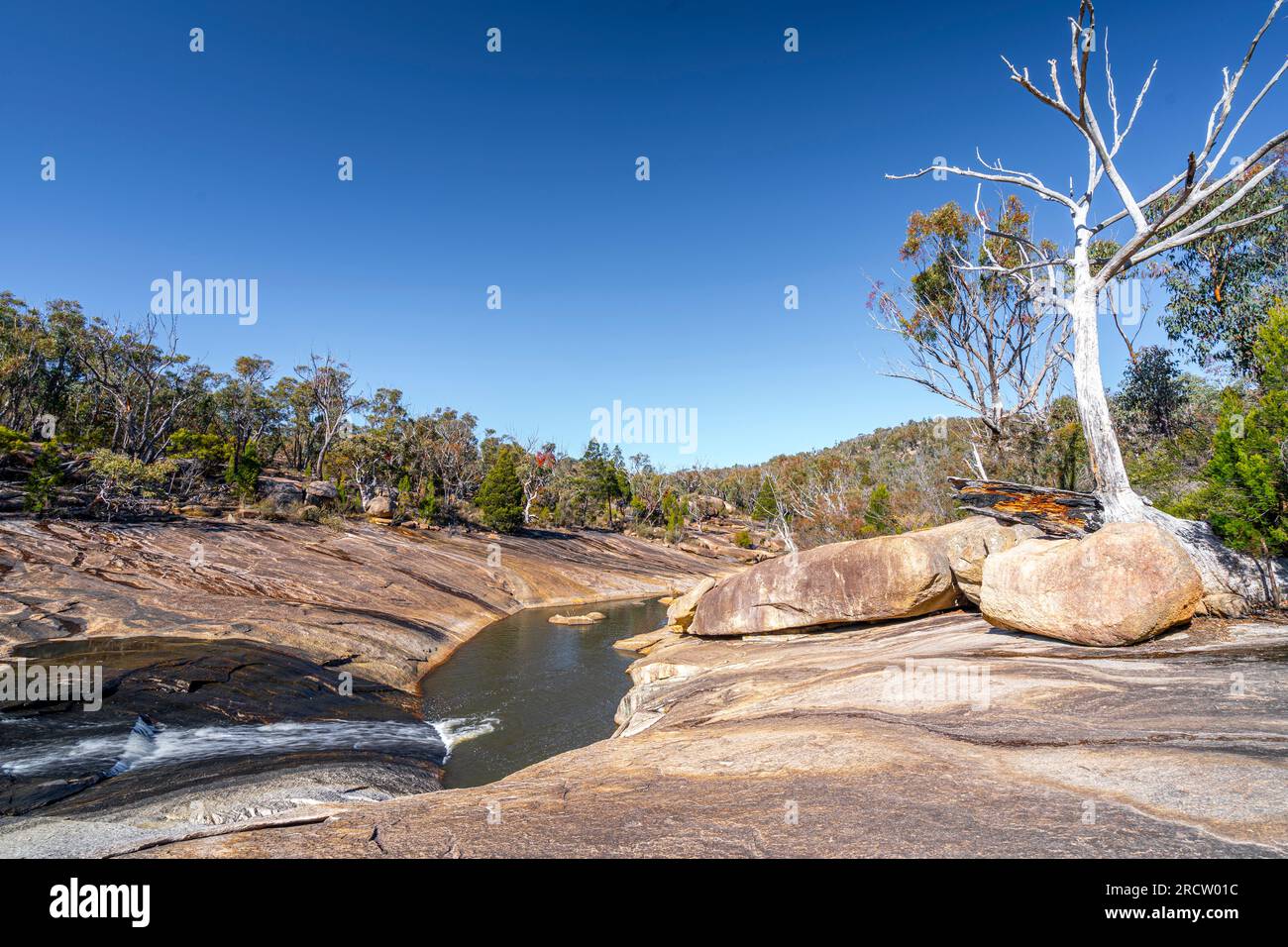 The junction of Bald Rock and Ramsay Creeks, The Junction, Girraween ...