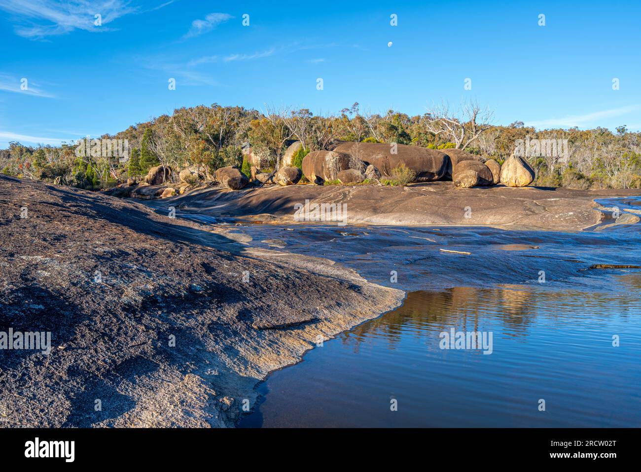 The junction of Bald Rock and Ramsay Creeks, The Junction, Girraween ...