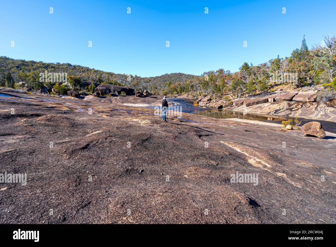 The junction of Bald Rock and Ramsay Creeks, The Junction, Girraween ...