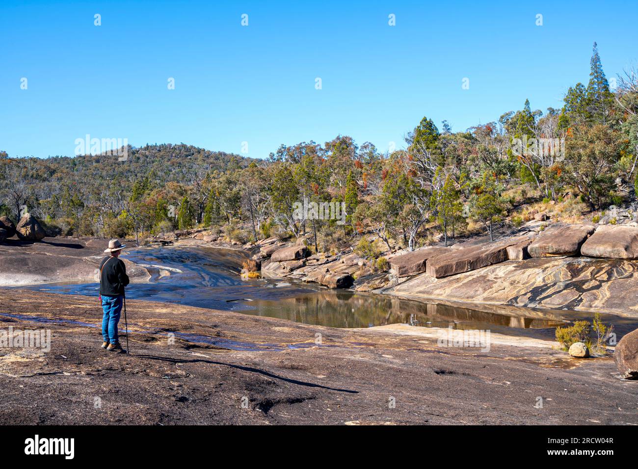 The junction of Bald Rock and Ramsay Creeks, The Junction, Girraween ...