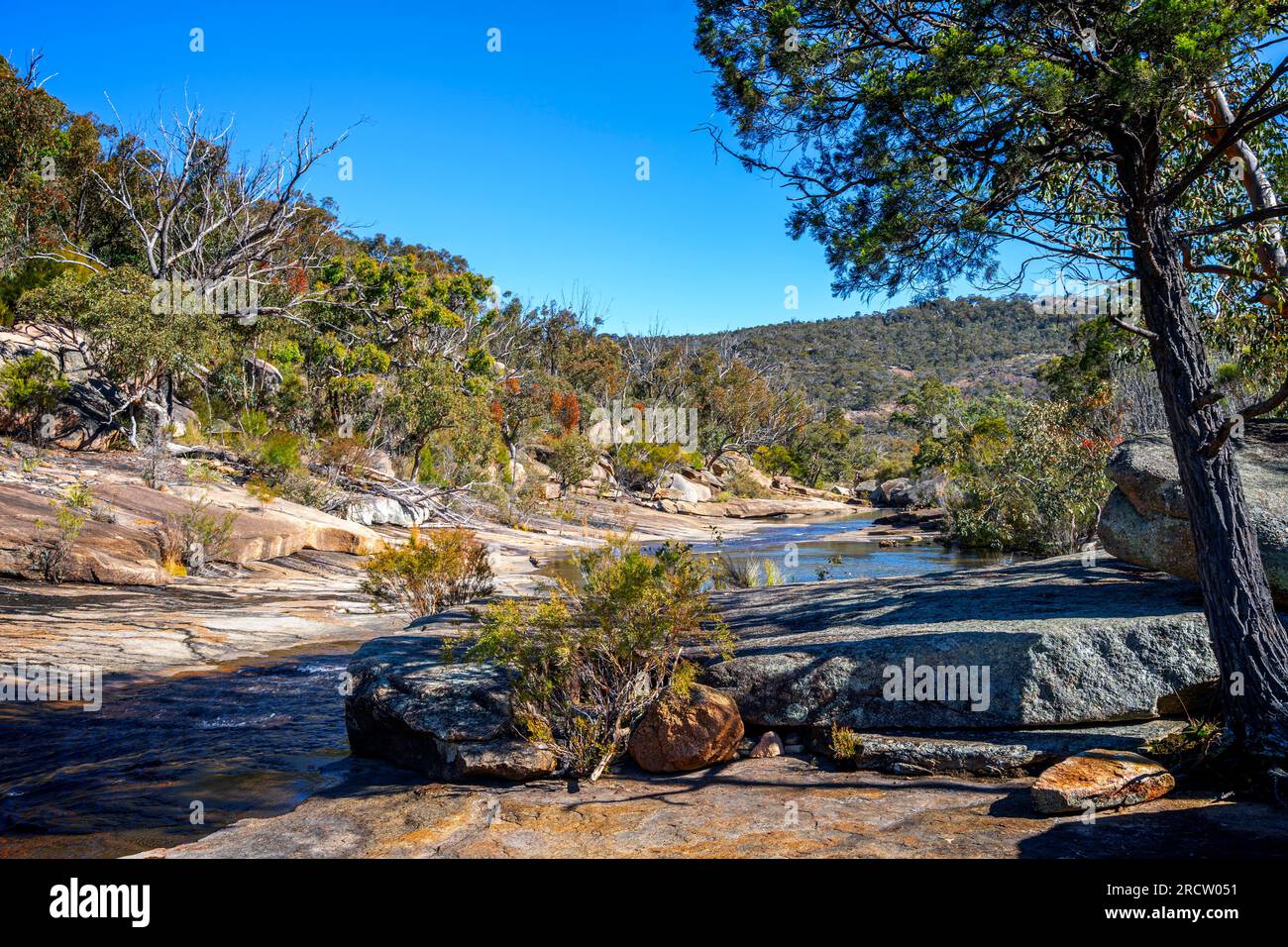 The junction of Bald Rock and Ramsay Creeks, The Junction, Girraween ...