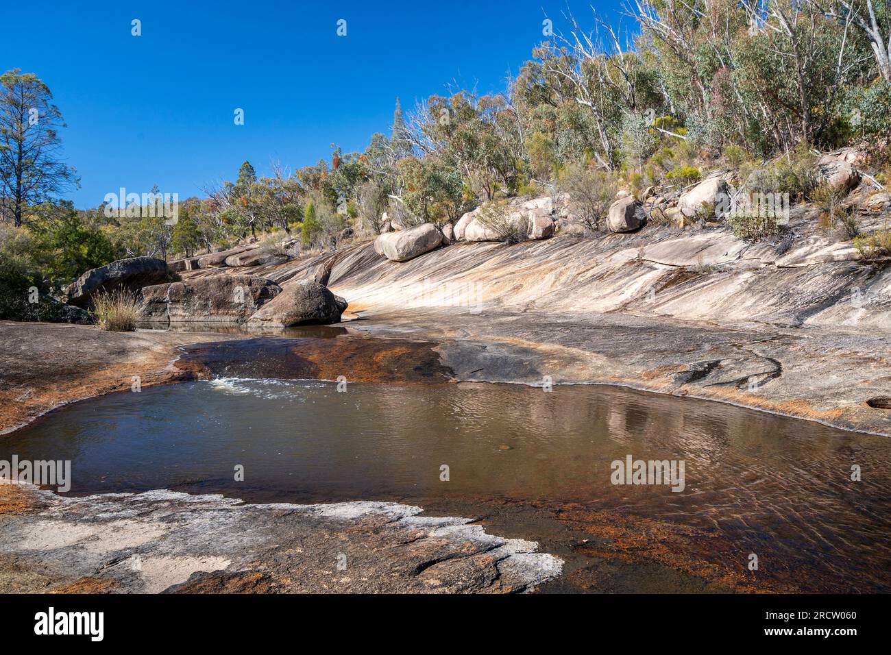 The junction of Bald Rock and Ramsay Creeks, The Junction, Girraween ...