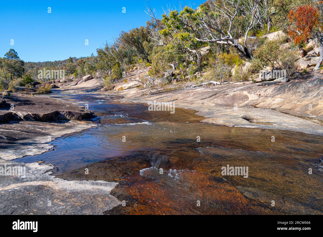 The junction of Bald Rock and Ramsay Creeks, The Junction, Girraween ...