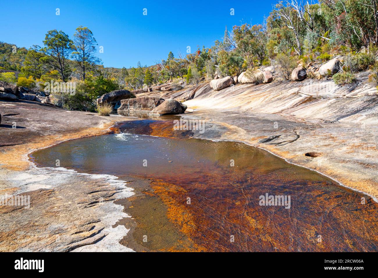 The junction of Bald Rock and Ramsay Creeks, The Junction, Girraween ...